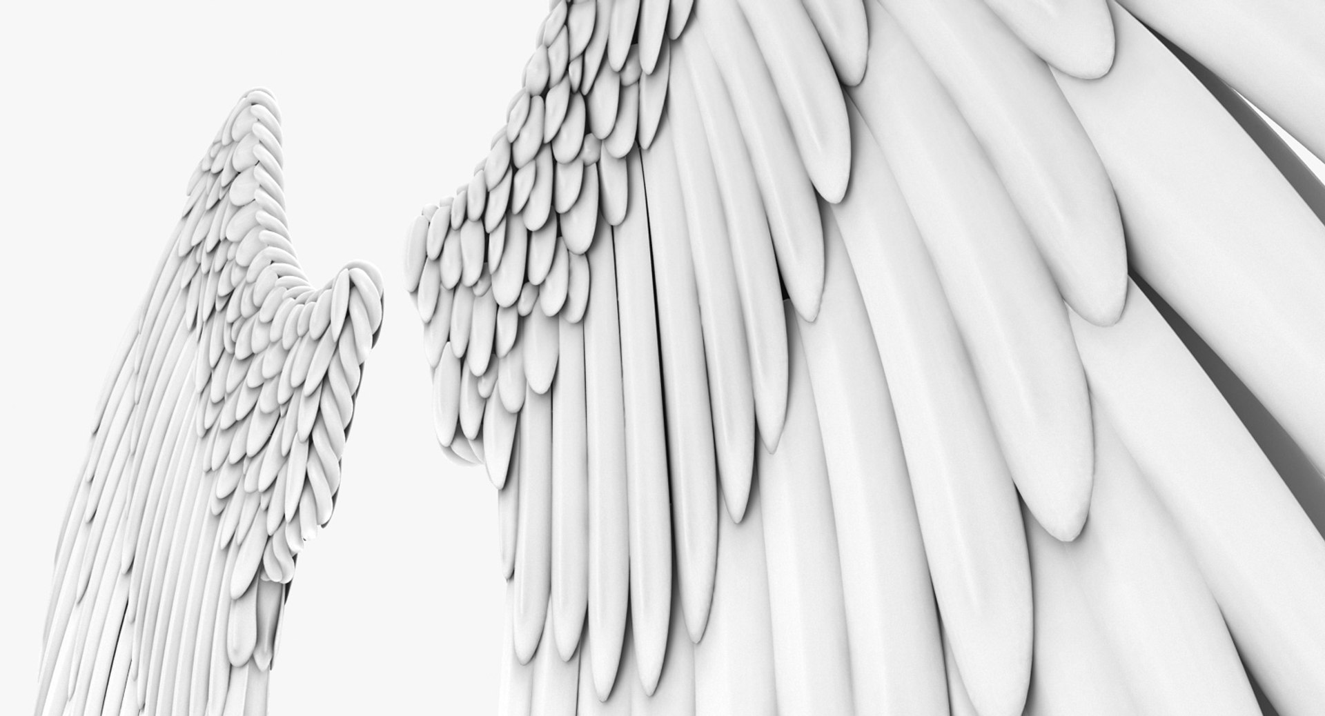3d Model Realistic Angel Wings White