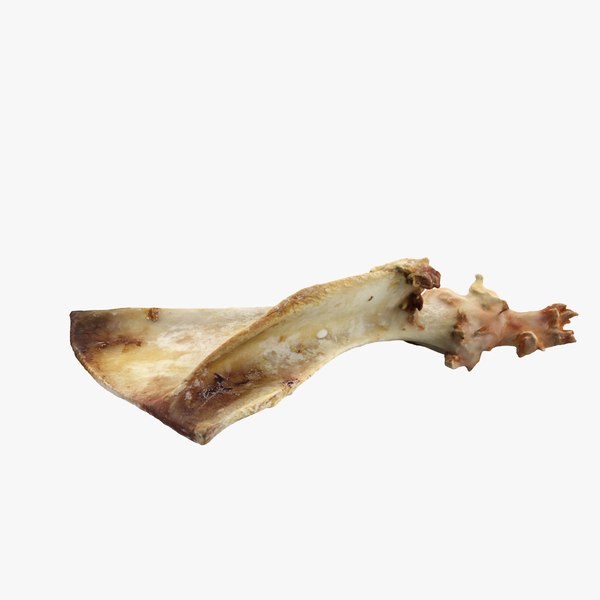 bone animation 3d max