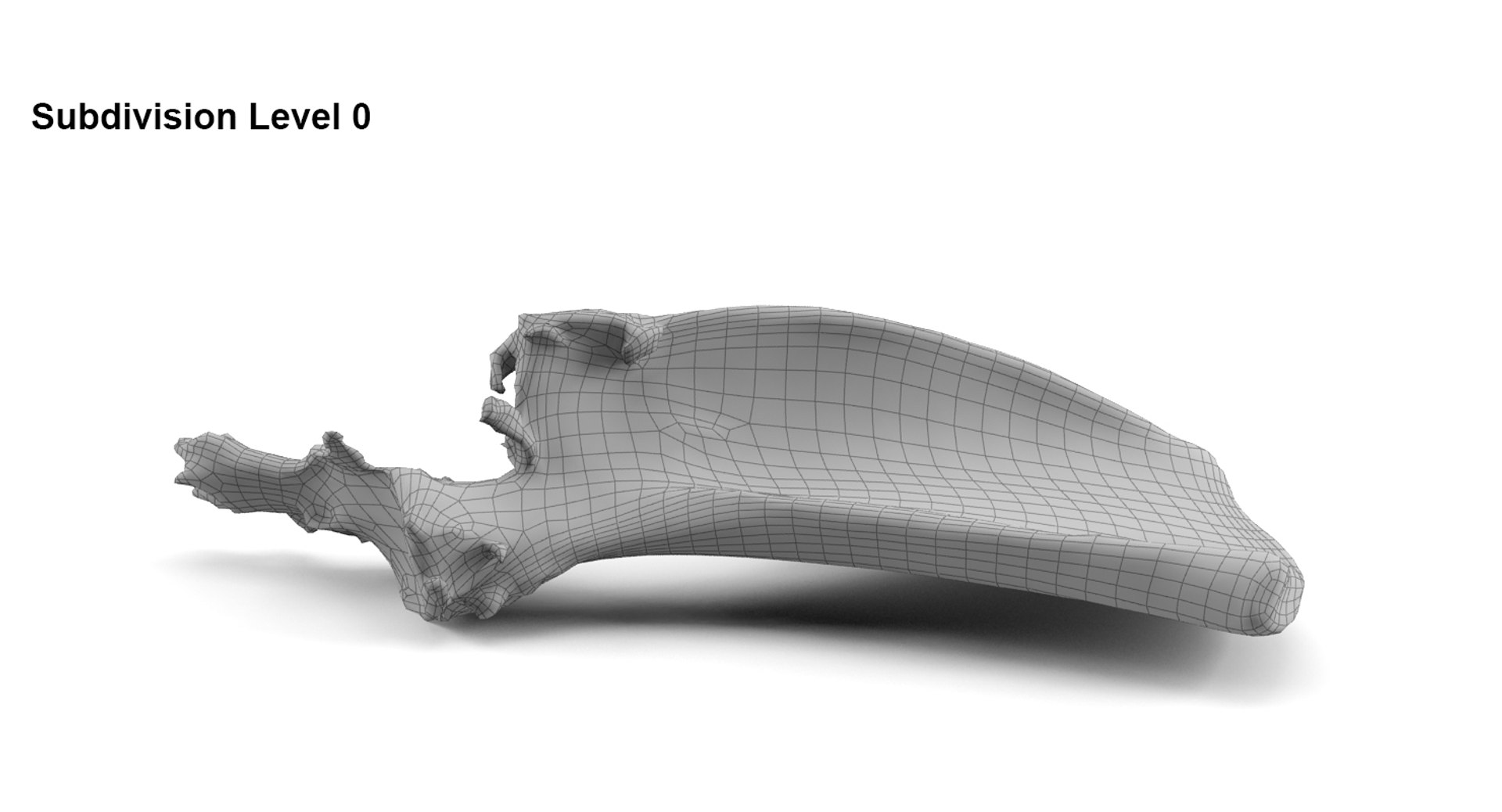 Bone Animation 3d Max