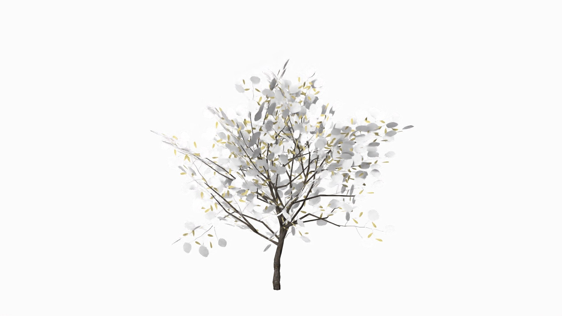 3D Cherry Laurel Winter Model - TurboSquid 1625794