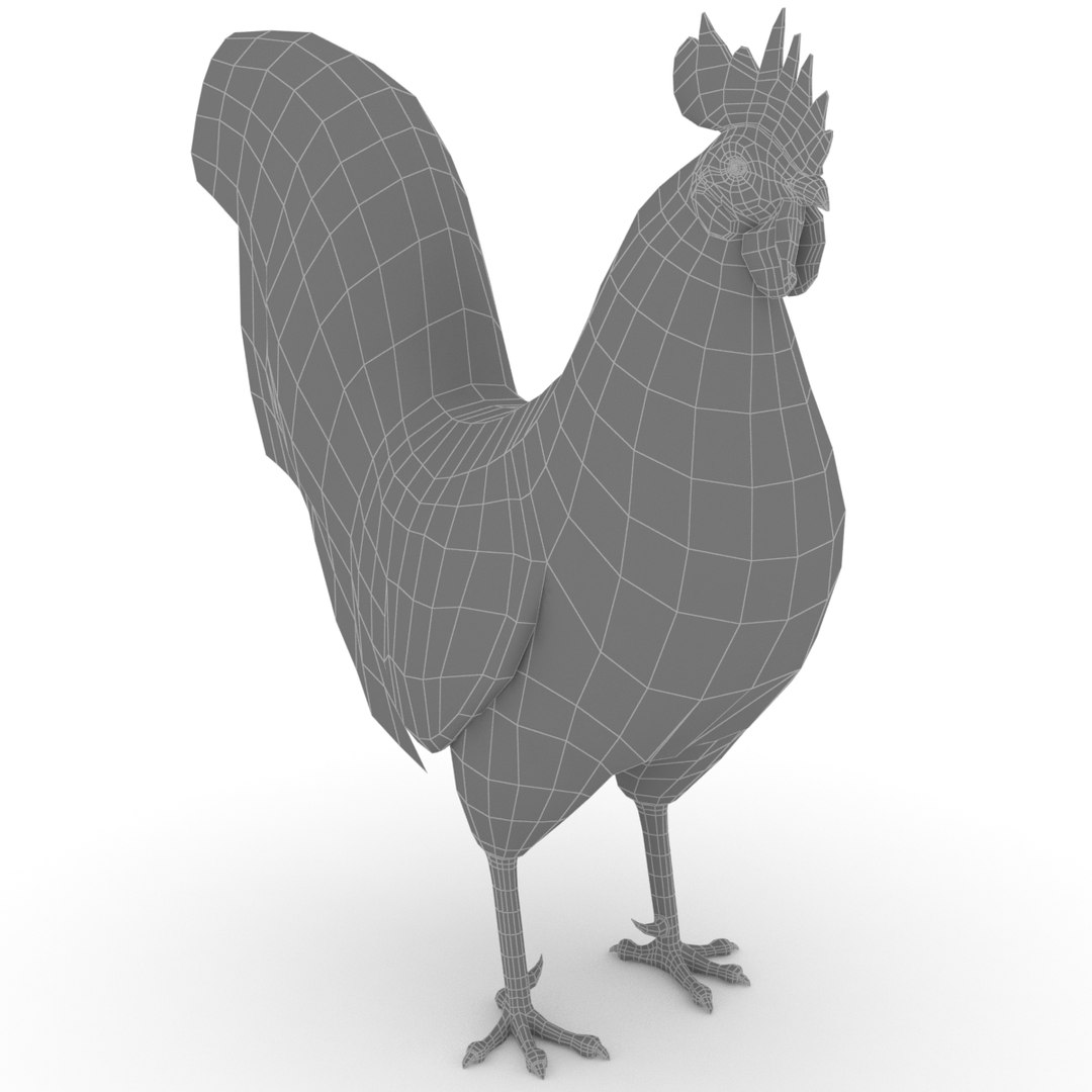 3D Rooster - Model - TurboSquid 1441023