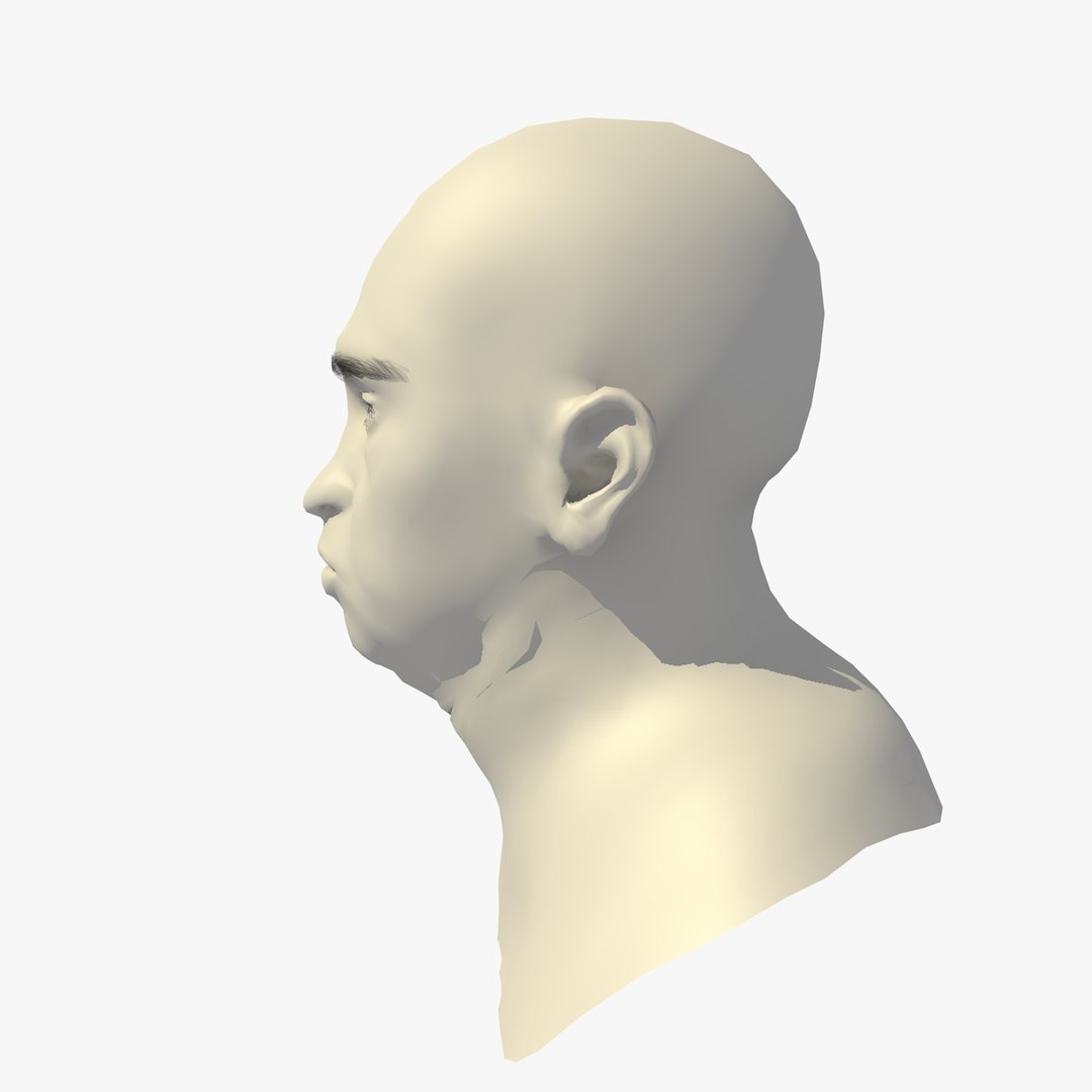 Realistic Head Base Mesh Model - TurboSquid 1440268