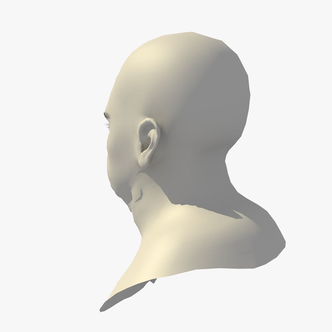 Realistic Head Base Mesh Model - TurboSquid 1440268