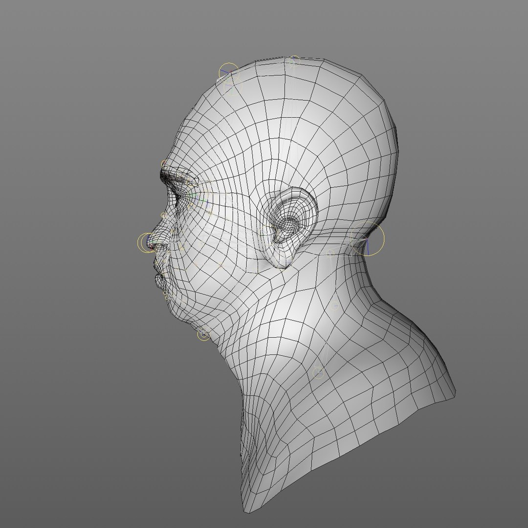 Realistic Head Base Mesh Model - TurboSquid 1440268