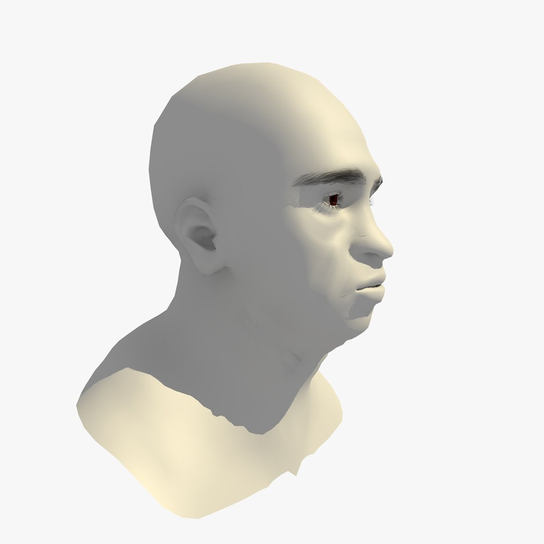 Realistic Head Base Mesh Model - TurboSquid 1440268