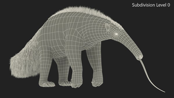 Anteater Standing Pose model - TurboSquid 1839919