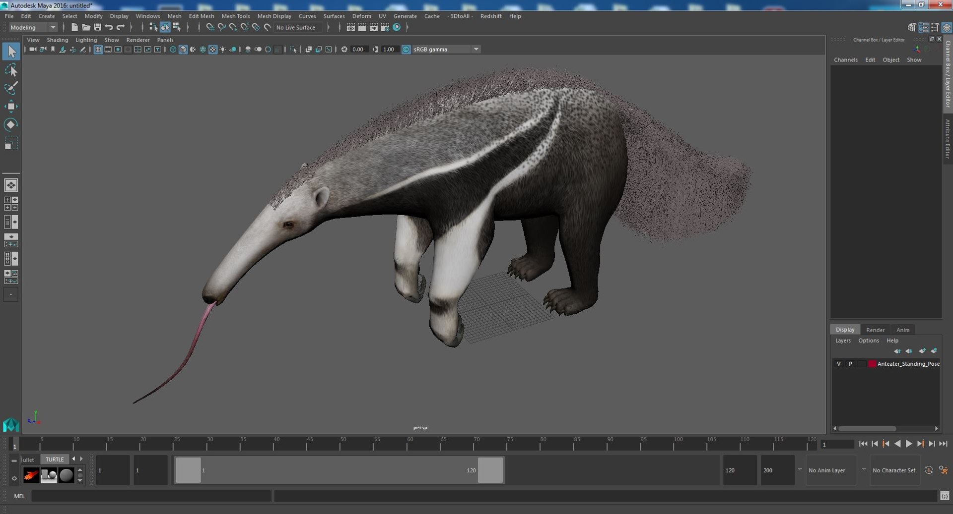 Anteater Standing Pose Model - TurboSquid 1839919