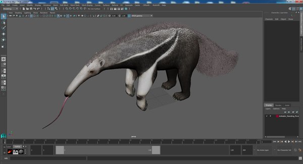 Anteater Standing Pose model - TurboSquid 1839919