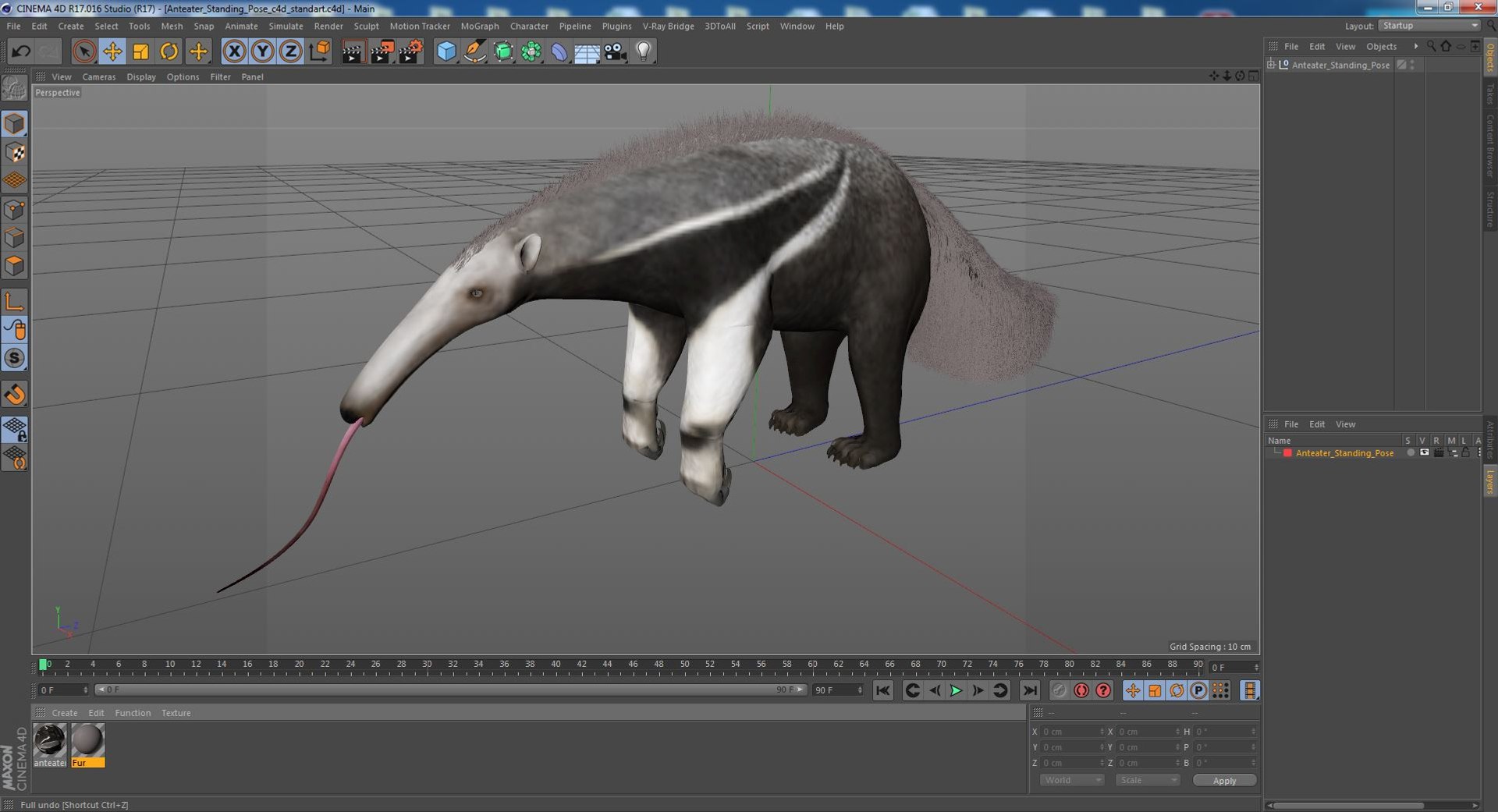 Anteater Standing Pose Model - TurboSquid 1839919
