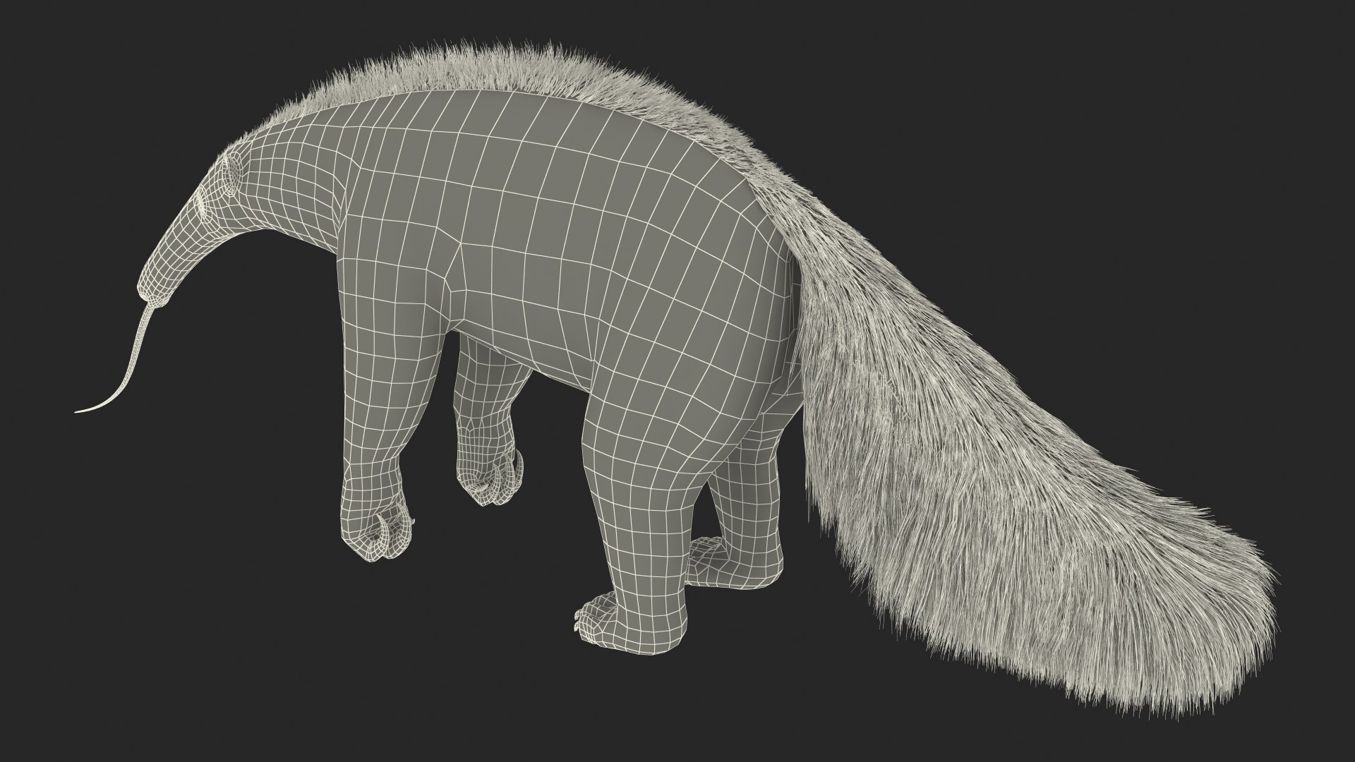 Anteater Standing Pose Model - TurboSquid 1839919