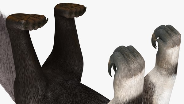 Anteater Standing Pose model - TurboSquid 1839919