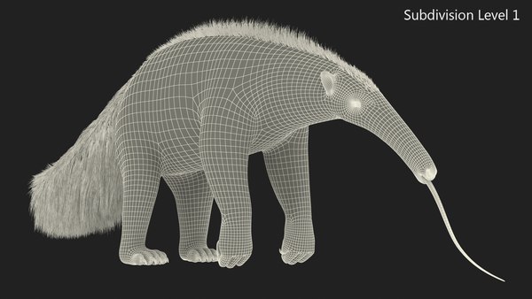 Anteater Standing Pose model - TurboSquid 1839919