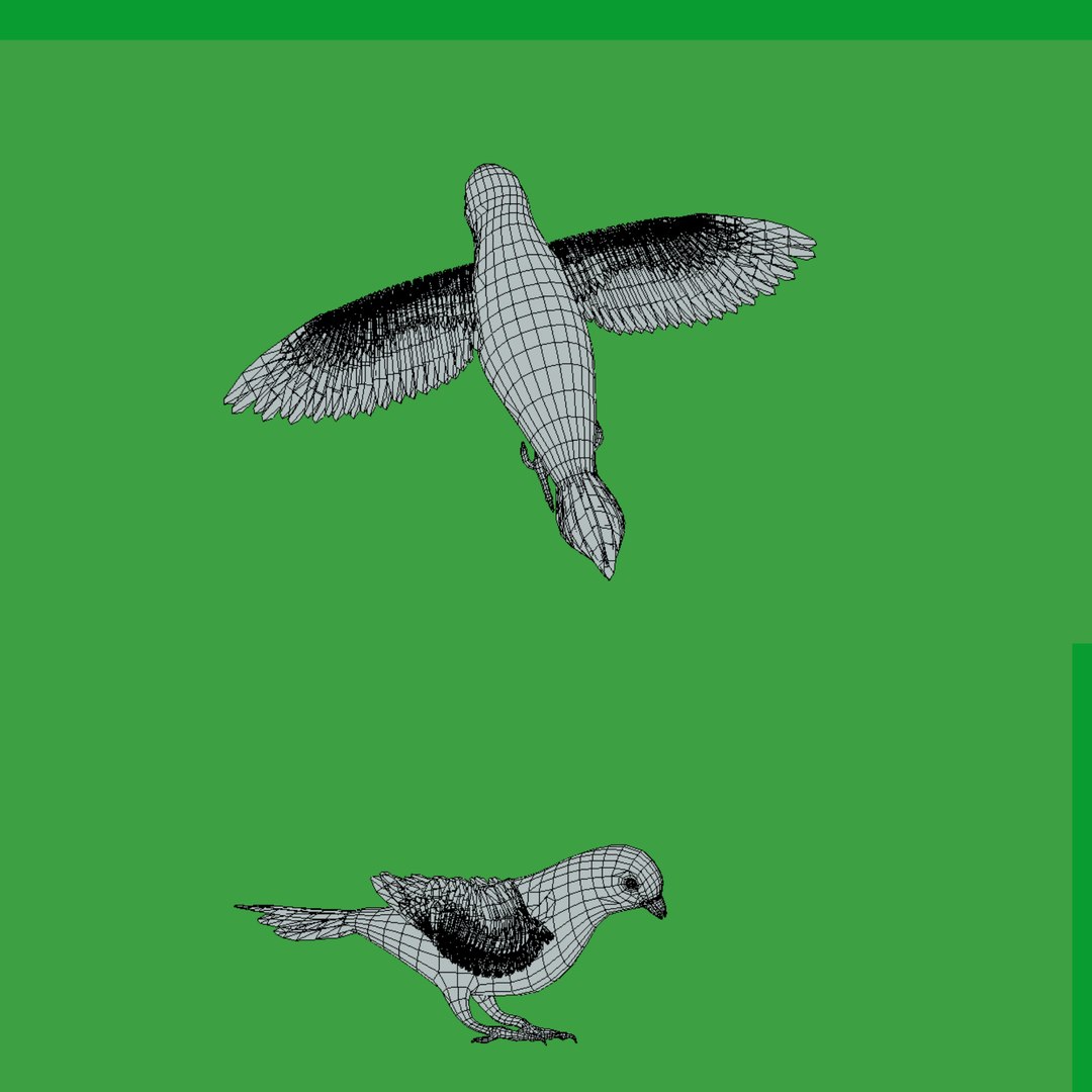 Atlantic Canary Bird 3D Model - TurboSquid 2330610