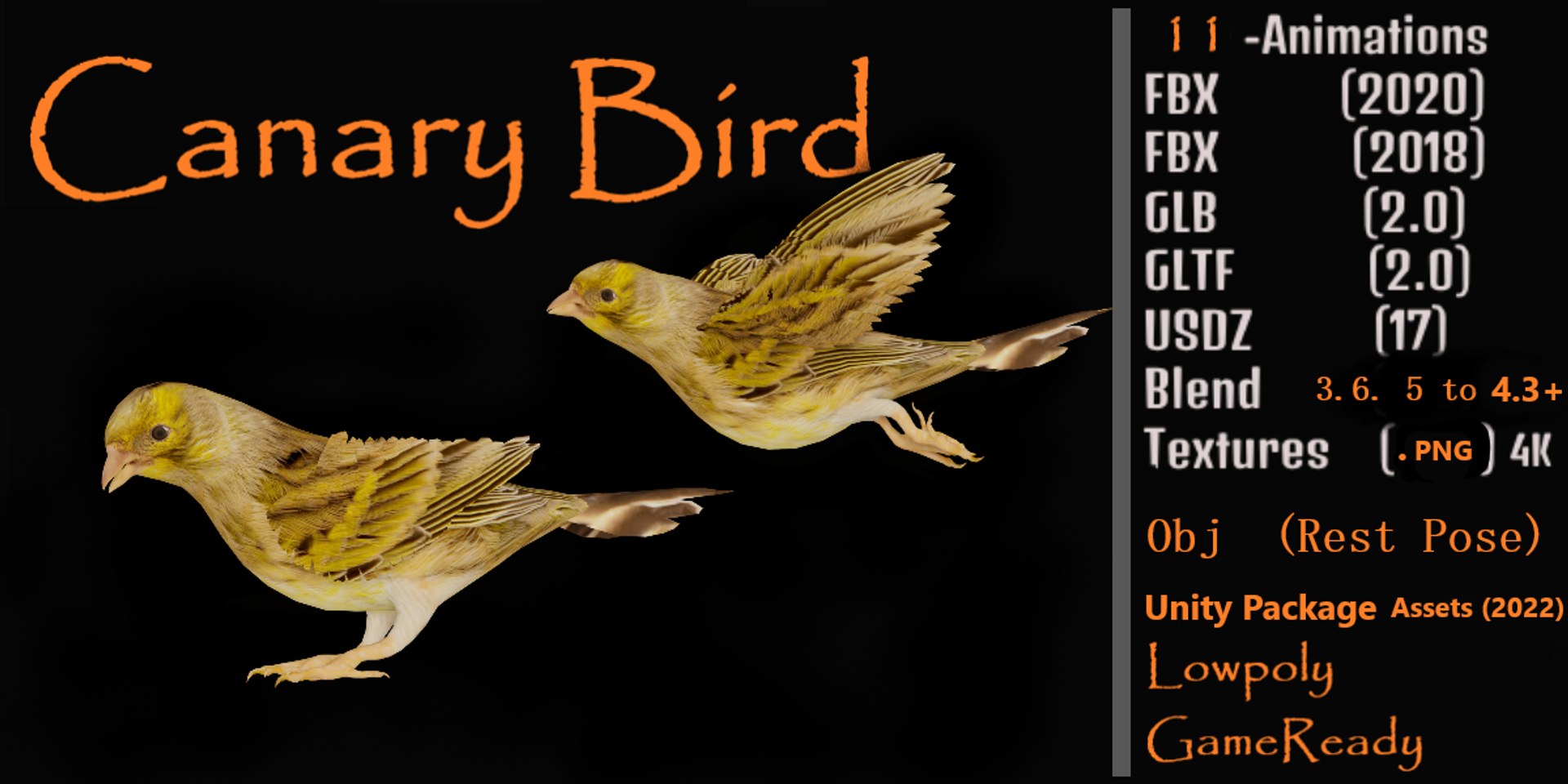 Atlantic Canary Bird 3D Model - TurboSquid 2330610