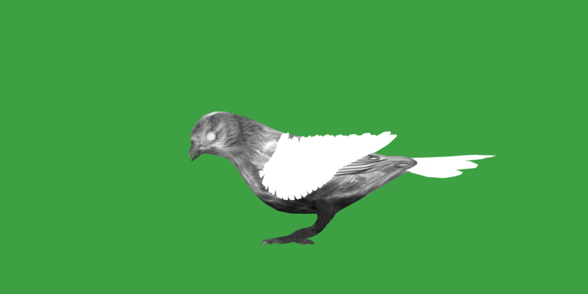 Atlantic Canary Bird 3D Model - TurboSquid 2330610