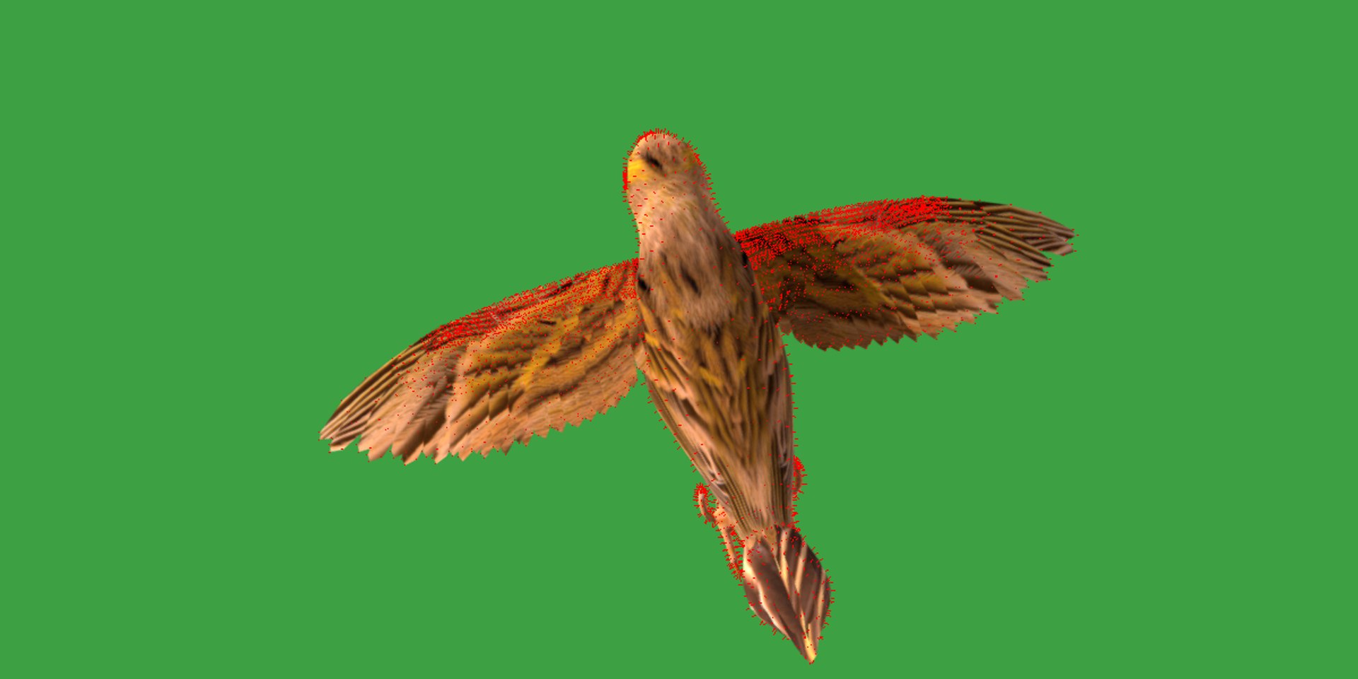 Atlantic Canary Bird 3D Model - TurboSquid 2330610