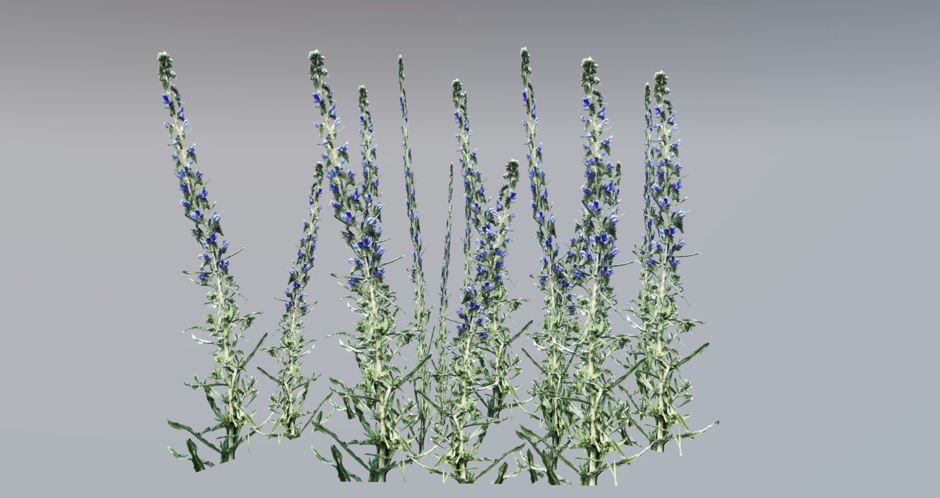 3d Model Forest Foliage