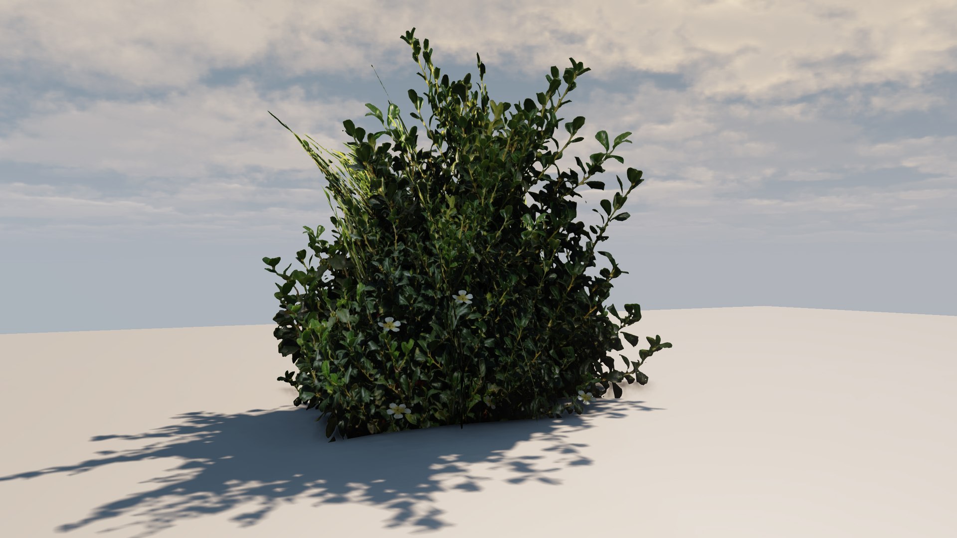 3d Model Forest Foliage