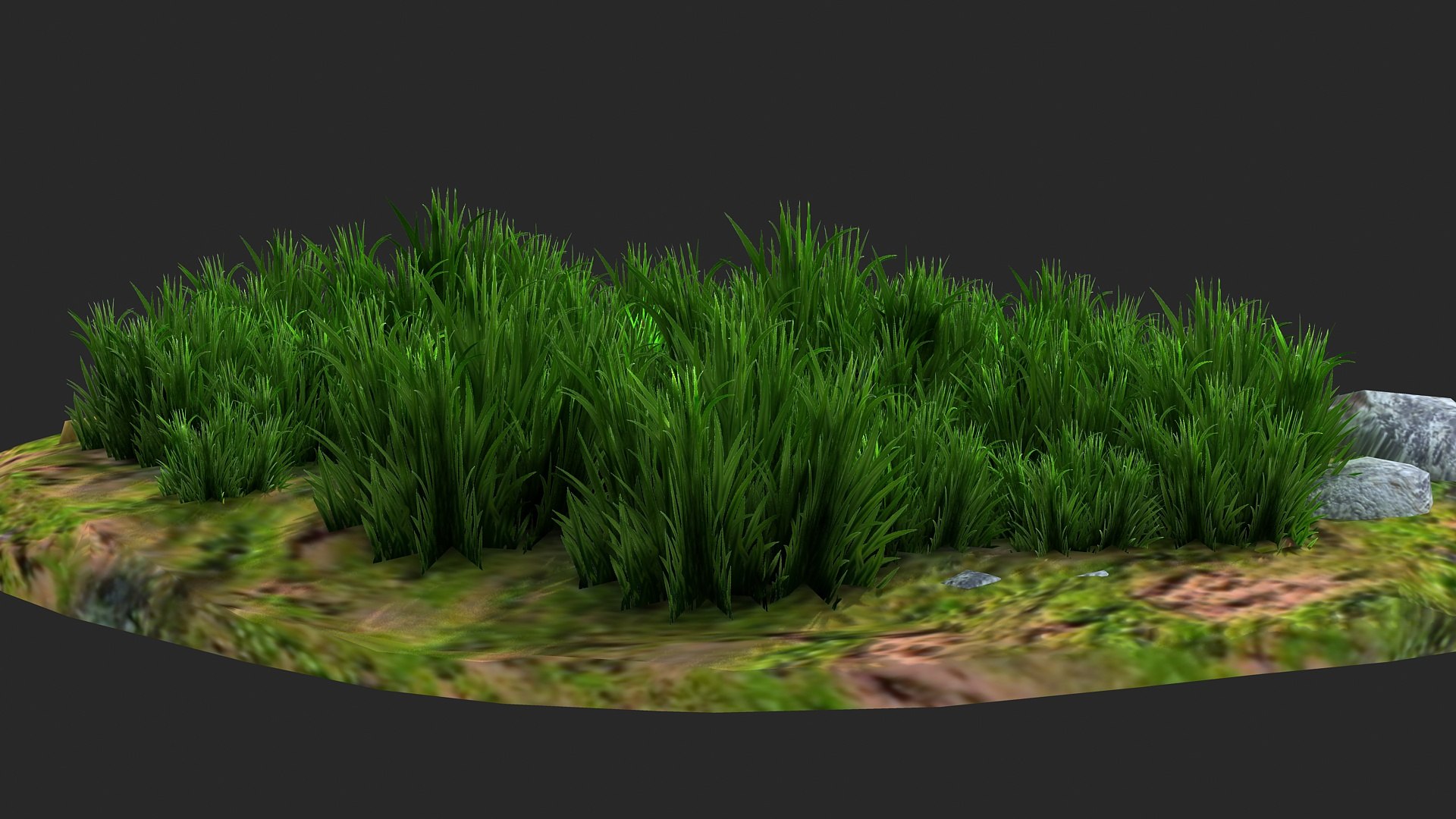 3D Grass flower grass rocks stones realistic grass lawn - TurboSquid ...