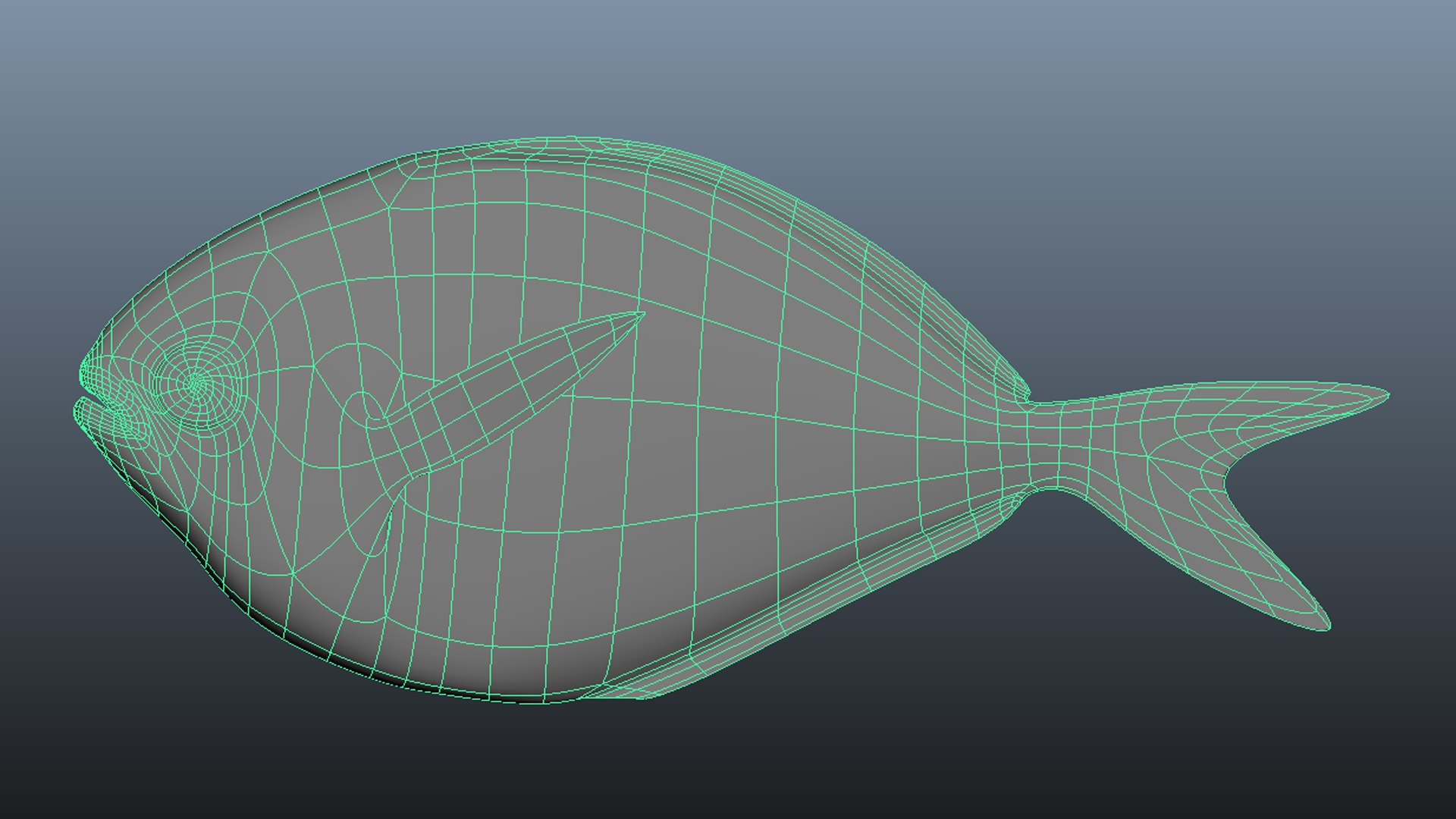 3D Saltwater Fish Collection 17 - TurboSquid 1837068