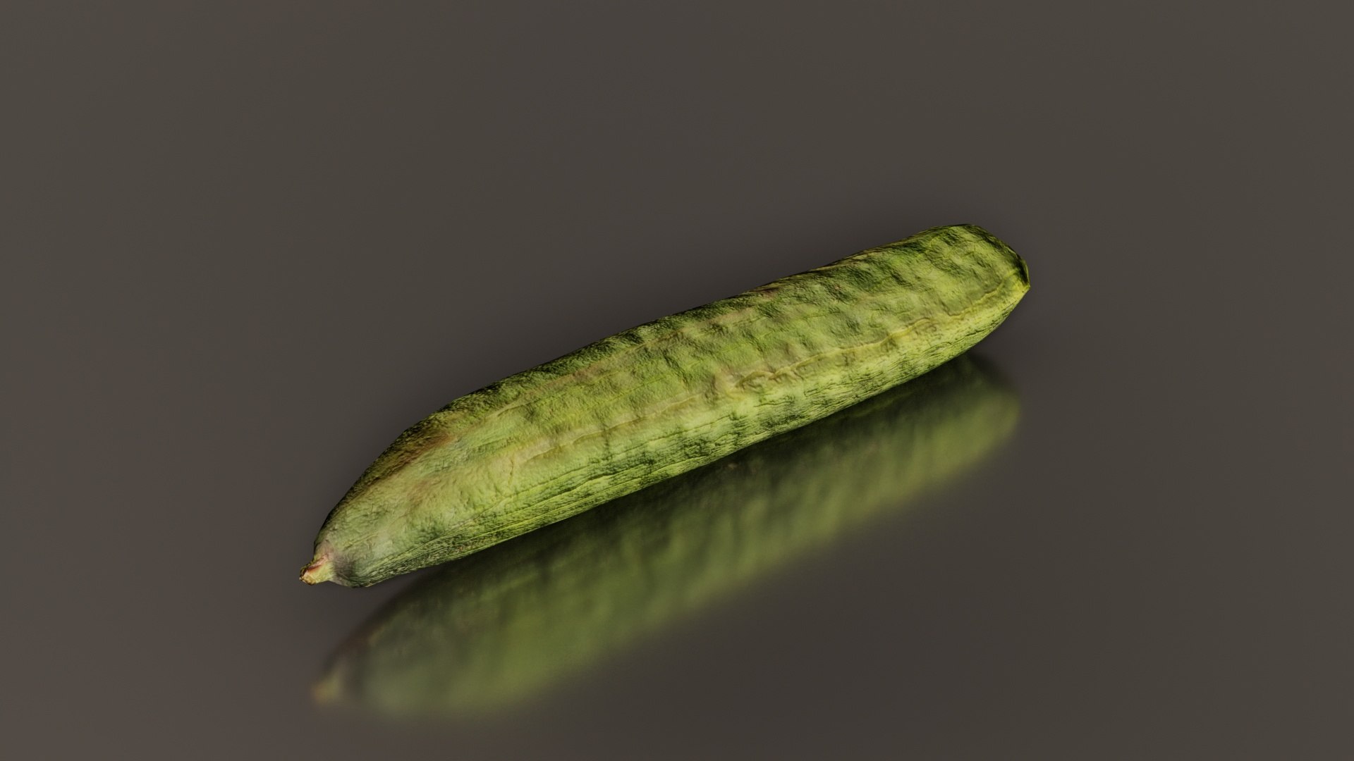 Cucumber Remastered 3D Model - TurboSquid 2362435