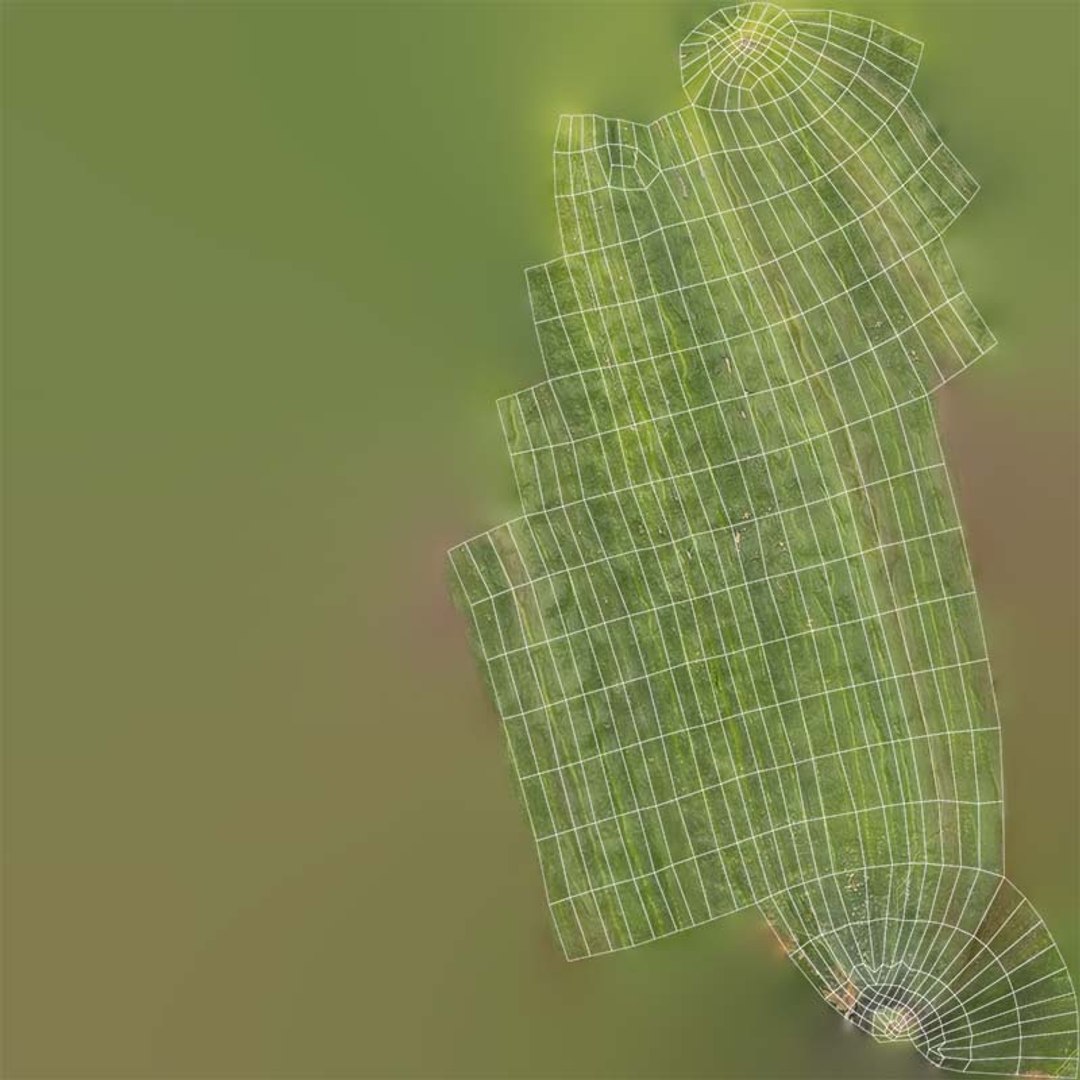 Cucumber Remastered 3D Model - TurboSquid 2362435