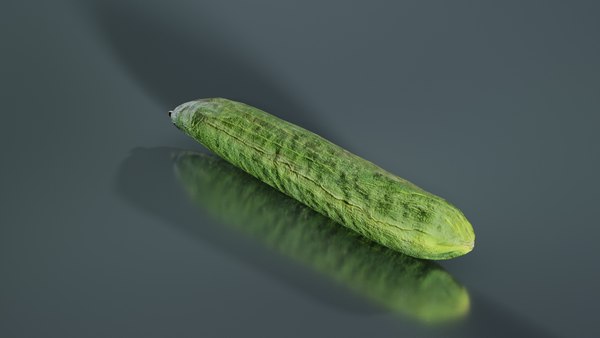 modelo 3d Pepino remasterizado - TurboSquid 2362435