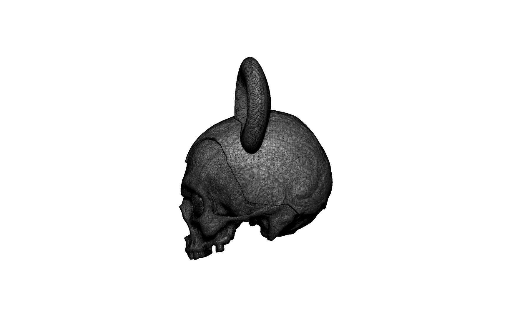 Mouse Skeleton Statue 3D Model - TurboSquid 2228470