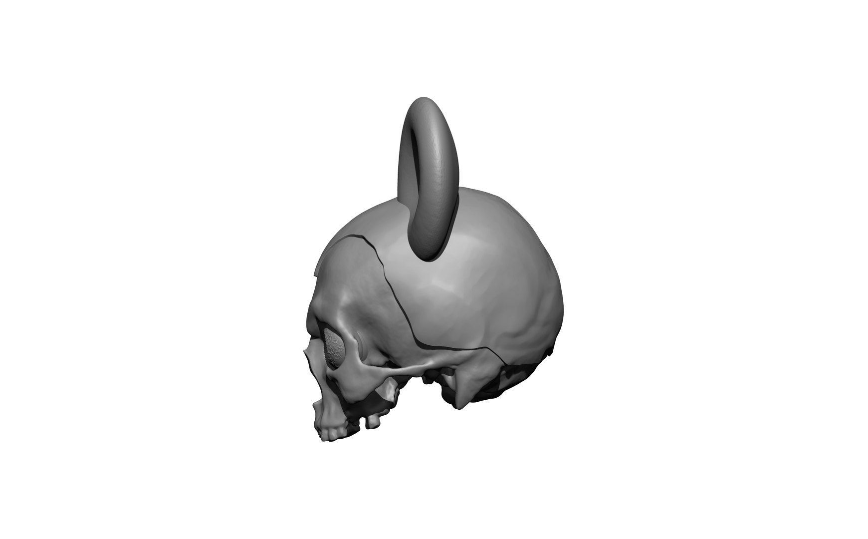 Mouse Skeleton Statue 3D Model - TurboSquid 2228470