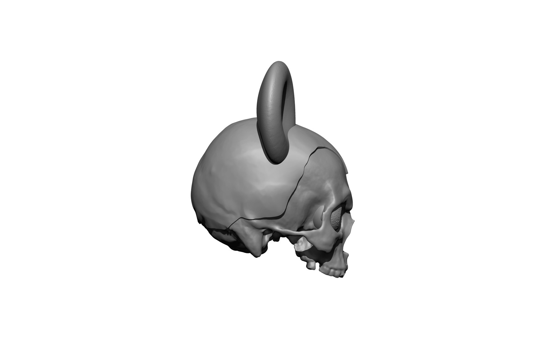 Mouse Skeleton Statue 3D Model - TurboSquid 2228470