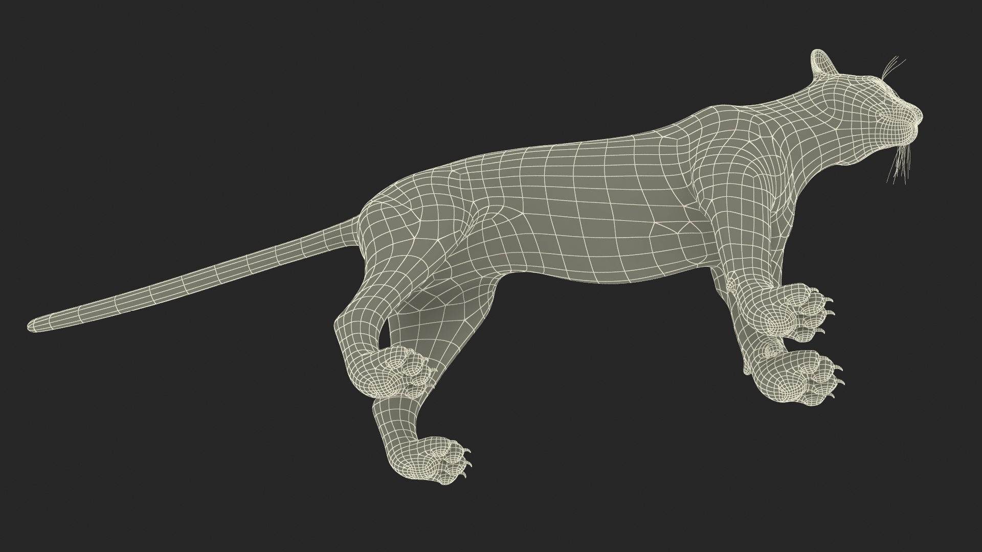 Puma Fur Rigged 3D Model - TurboSquid 2239308