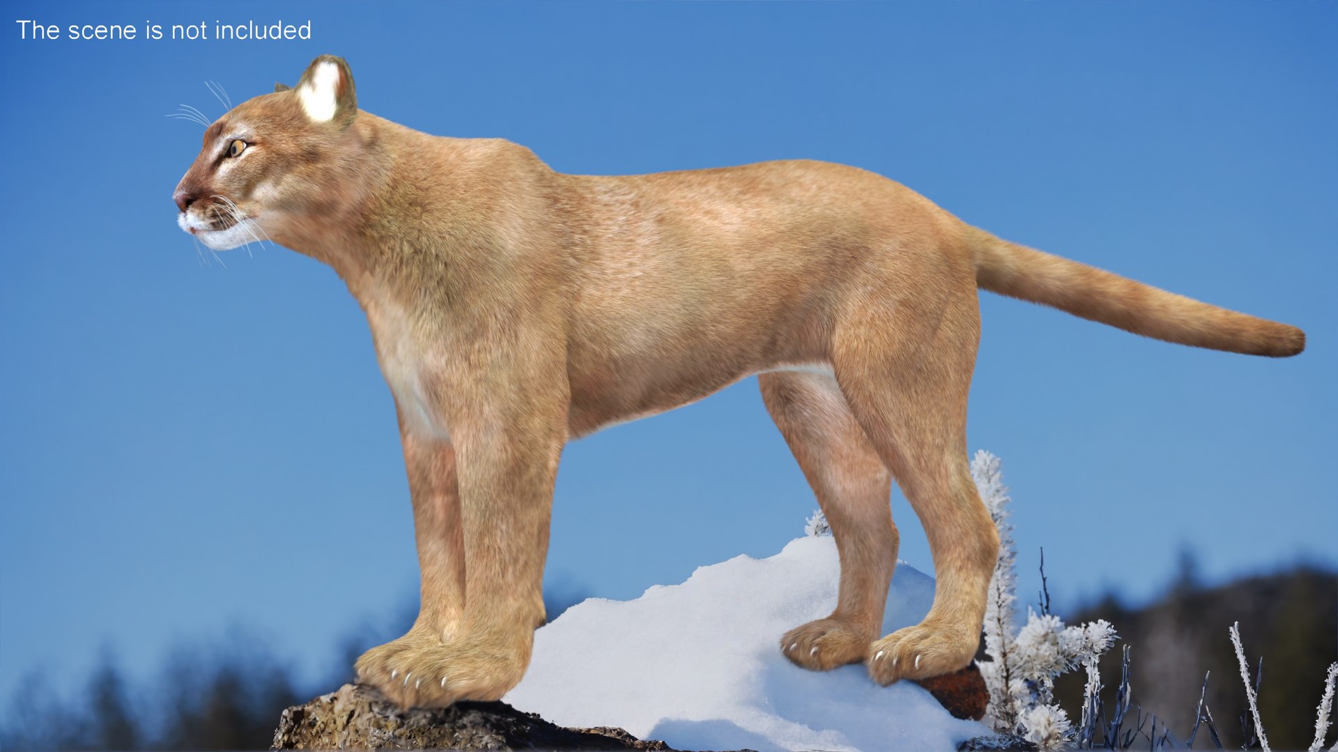 Puma Fur Rigged 3D Model - TurboSquid 2239308