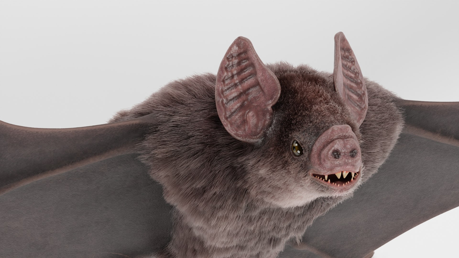 Vampire Bat Hanging Model - TurboSquid 1803966