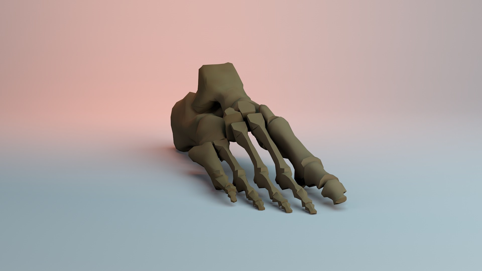 Foot Bone Skeleton 3D Model - TurboSquid 1747210
