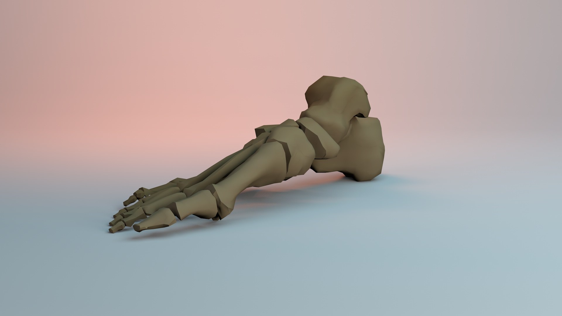 Foot Bone Skeleton 3D Model - TurboSquid 1747210
