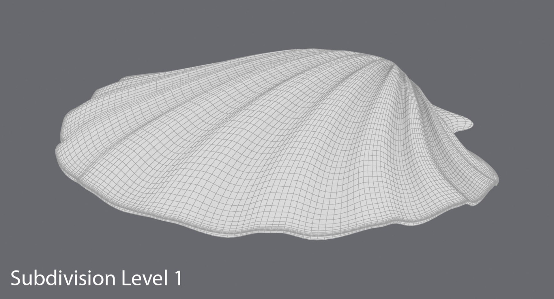 3D Clam-shells---shell-02 - TurboSquid 1155452
