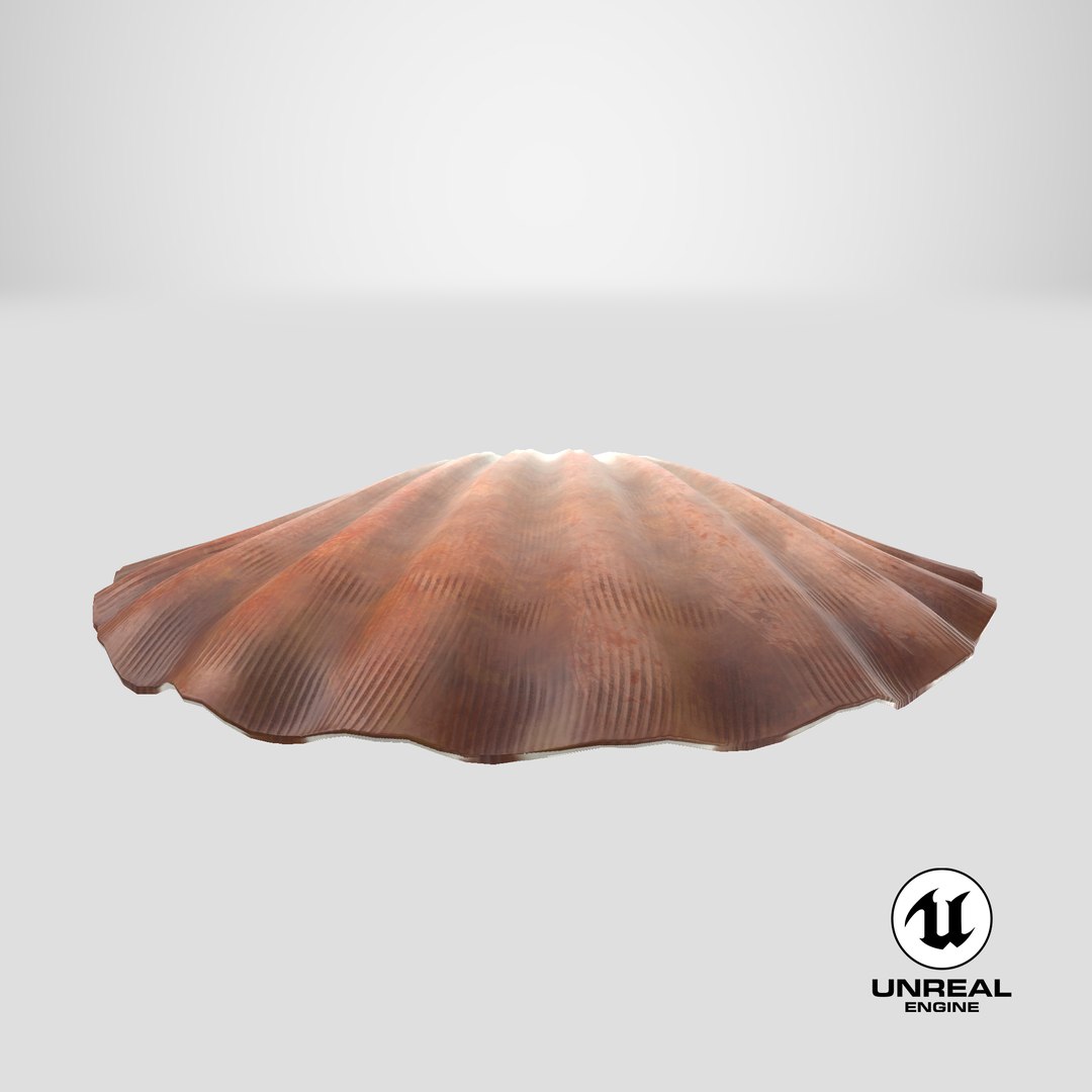 3D Clam-shells---shell-02 - TurboSquid 1155452