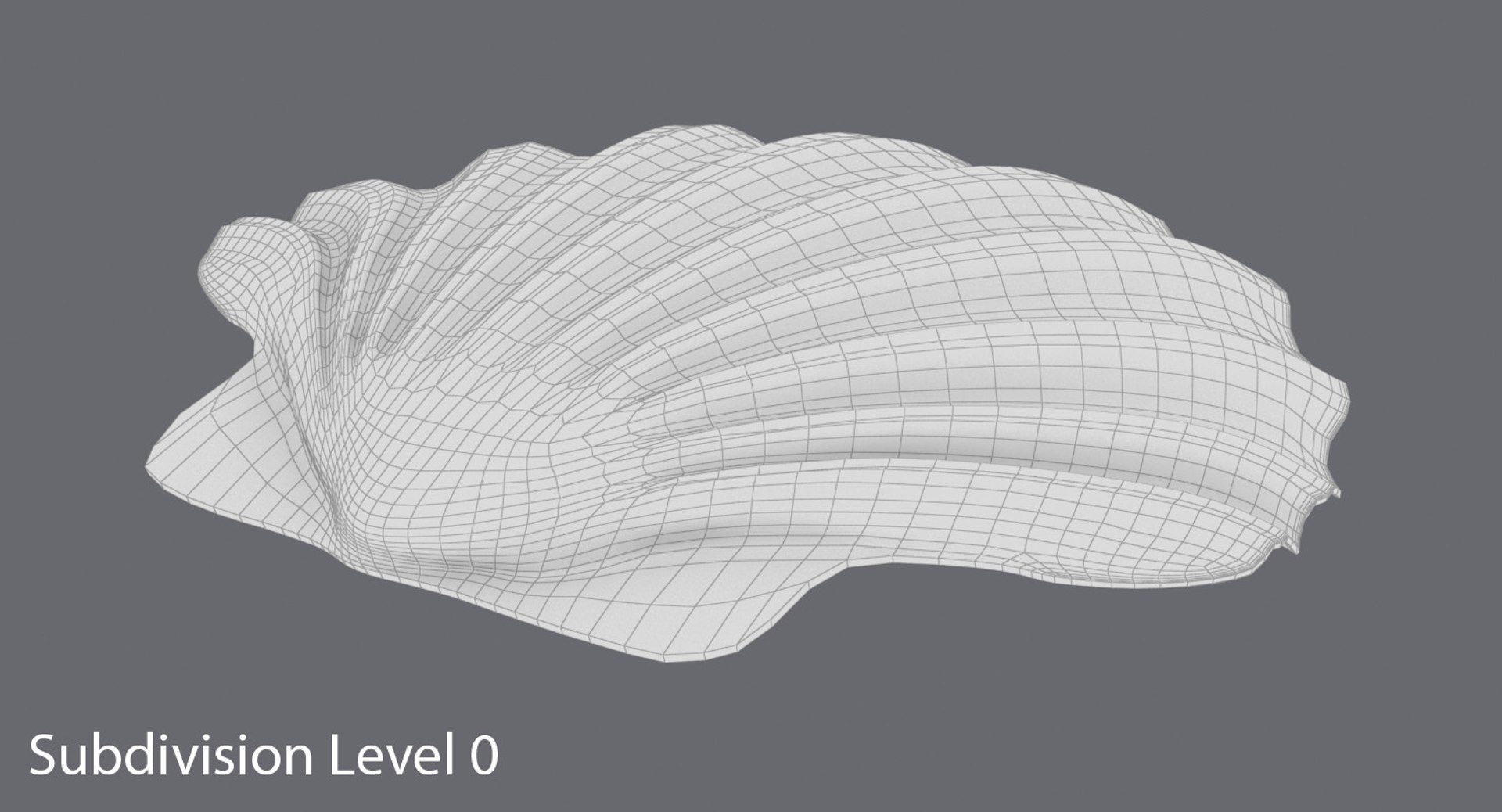 3D Clam-shells---shell-02 - TurboSquid 1155452