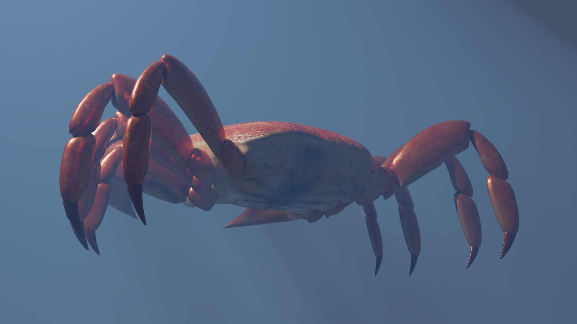 Crabs 3D - TurboSquid 2209729