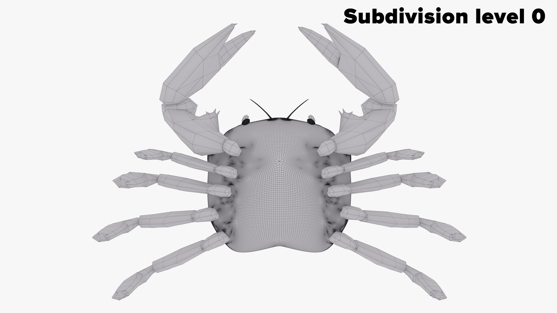 Crabs 3D - TurboSquid 2209729