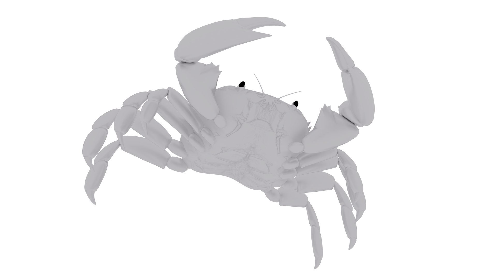 Crabs 3D - TurboSquid 2209729