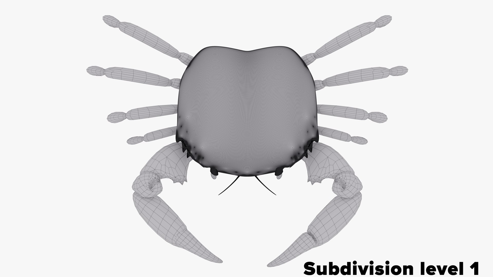 Crabs 3D - TurboSquid 2209729