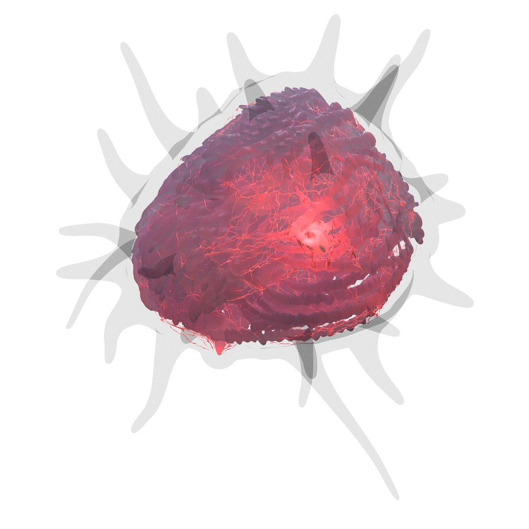3D Model Cancer Cell - TurboSquid 1922713