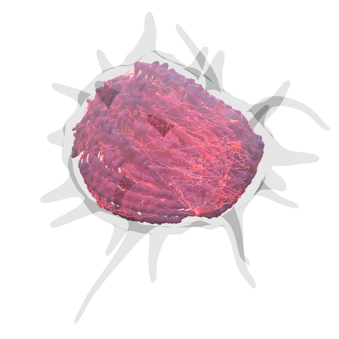 3D Model Cancer Cell - TurboSquid 1922713