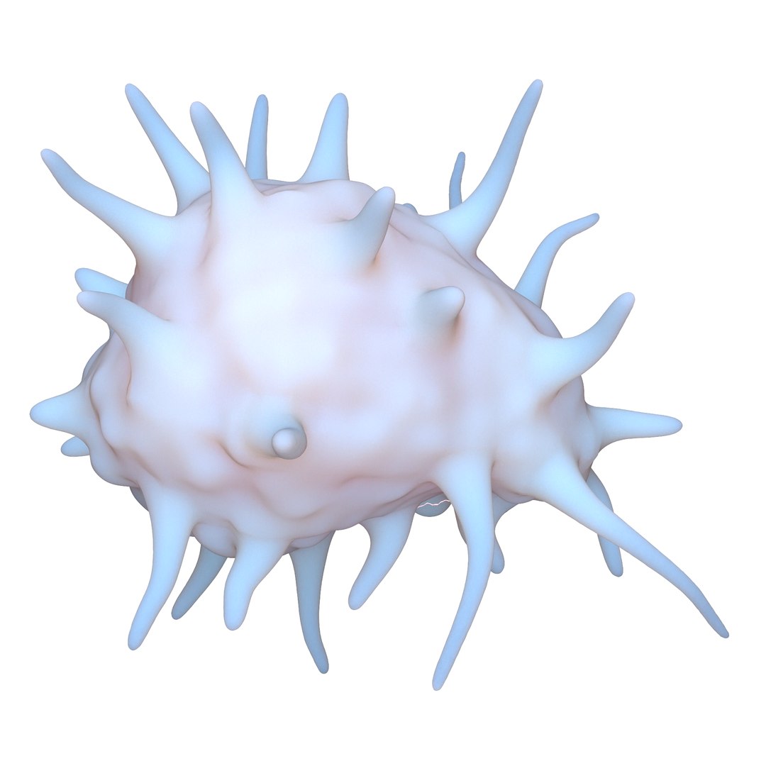 3D Model Cancer Cell - TurboSquid 1922713