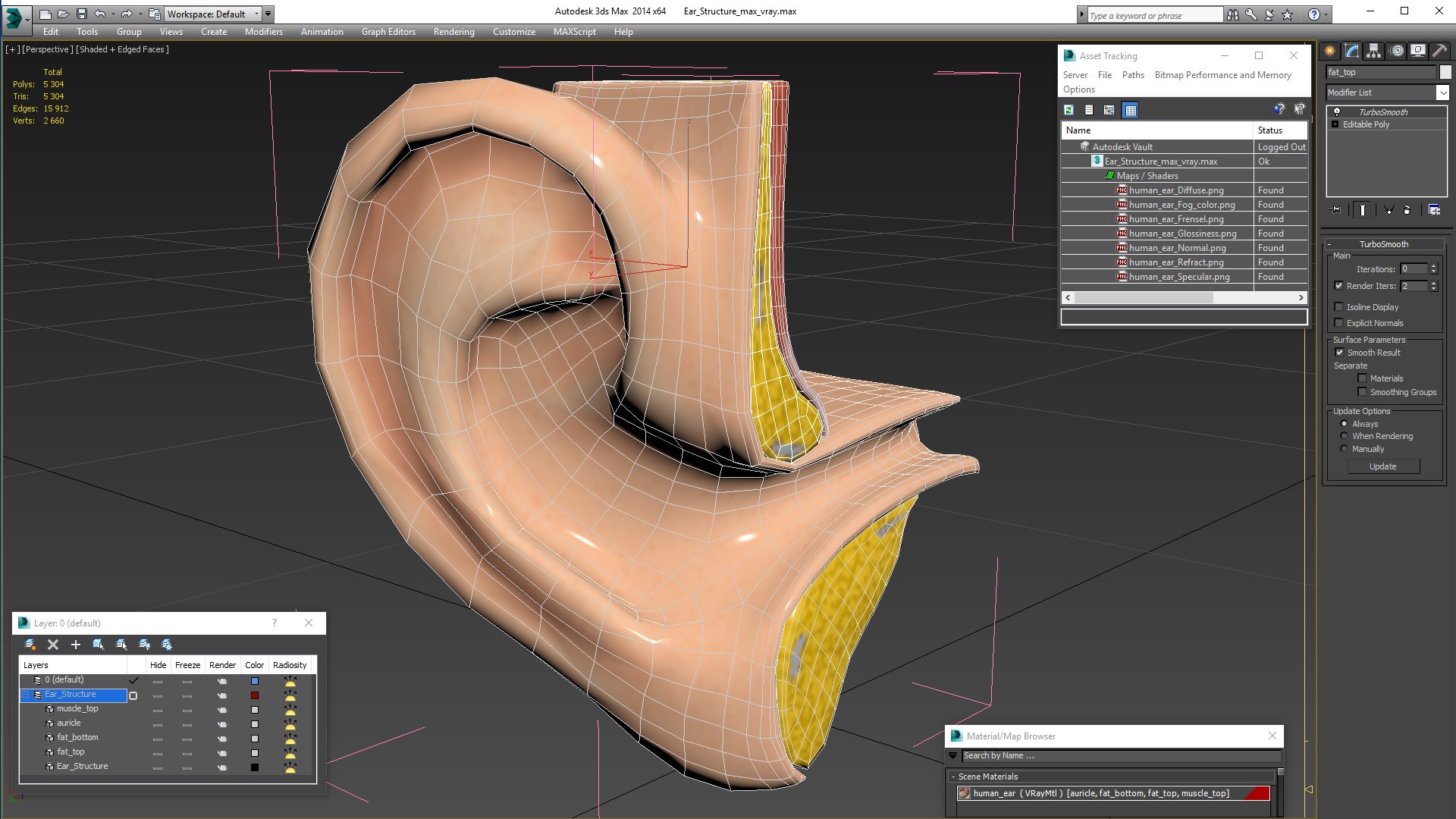 3D Model Ear Structure - TurboSquid 1645892