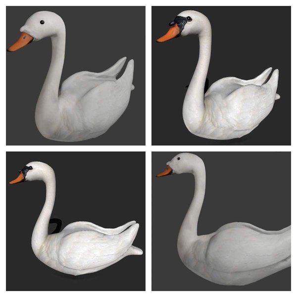 flying swan 3d model