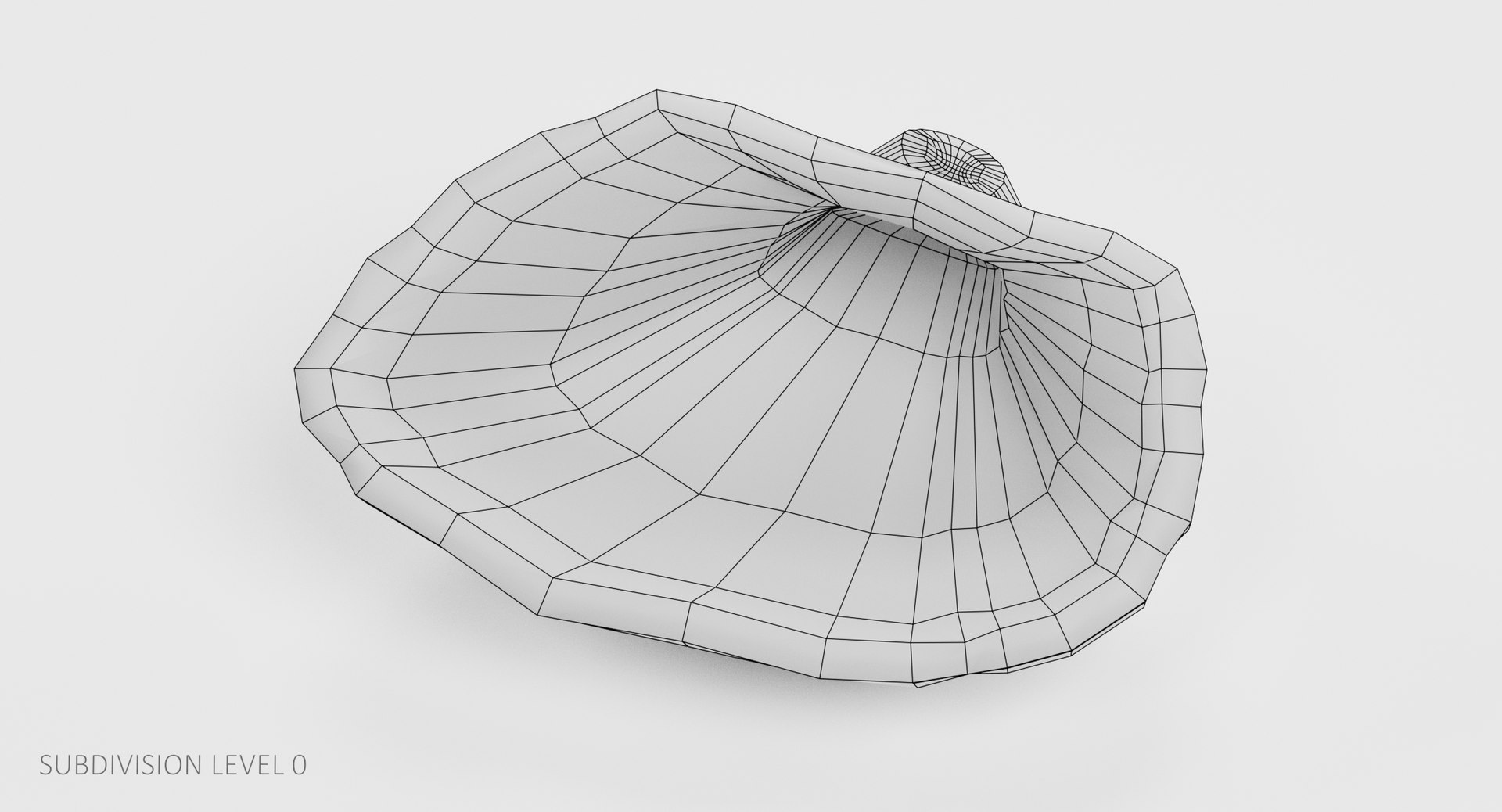Clam Pbr 3D - TurboSquid 1229491