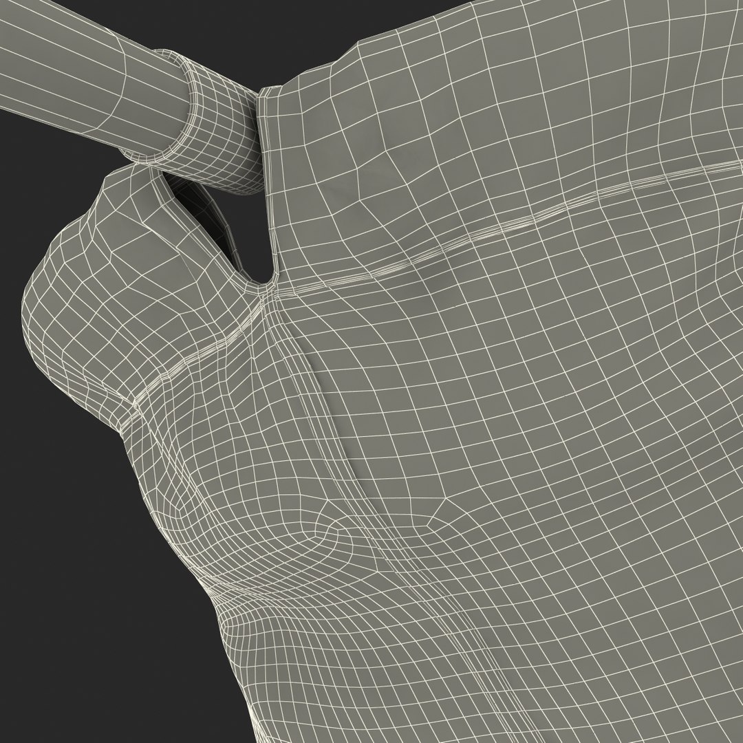 Butterfly Net 3d Model