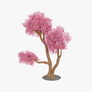 Download Free & Premium Genshin Impact 3D Models | TurboSquid